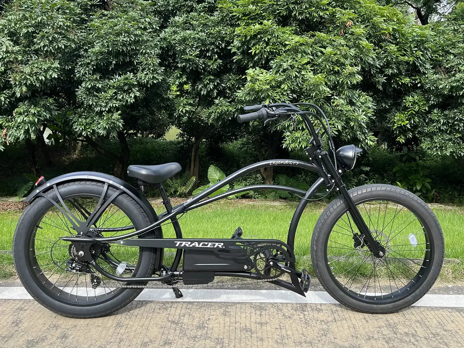 Unveiling the True Cost of Electric Stretch Cruiser Bicycles: A ...